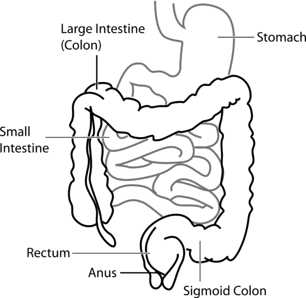 GallBladder 20 (GB20) Acupuncture Point: Location, Useful Functions and ...